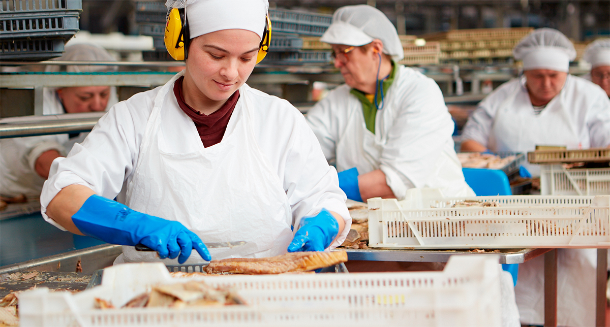 Capacidad productiva – Igmontes